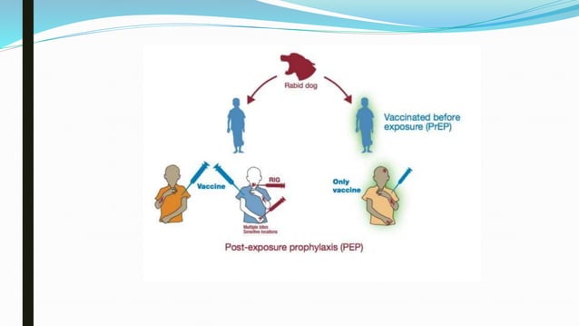 nrcp.pptx | Infectious Diseases | Diseases and Conditions