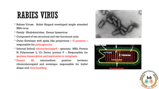 Rabies,NRCP, Rabies Guidline - Dr Himanshu Kaushik.pptx
