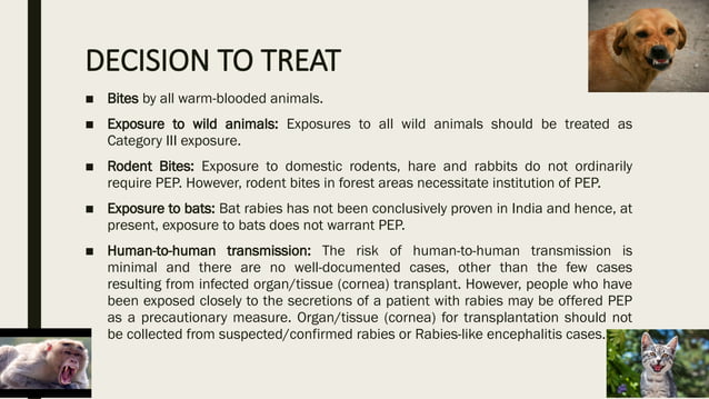 NRCP_ppt_ Training in NATIONAL RESEARCH CP PPT | PPT