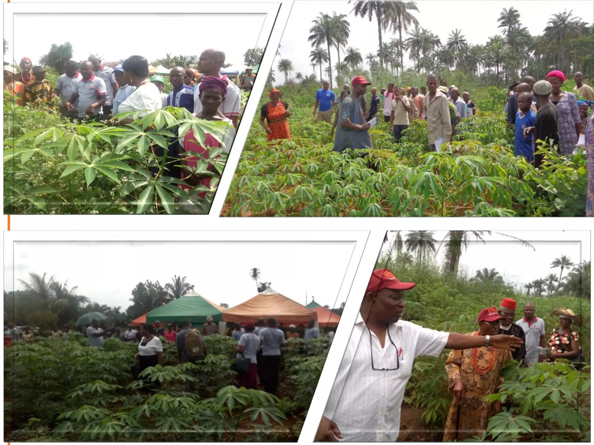 Nrcri ext presentation | PPT