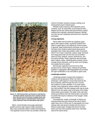 NRSC... from the surface down | PDF