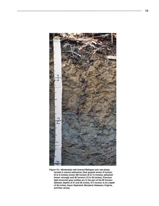 NRSC... from the surface down | PDF