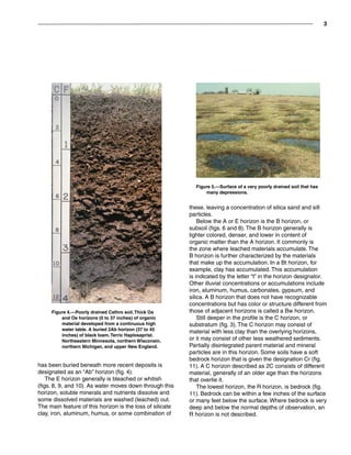 NRSC... from the surface down | PDF