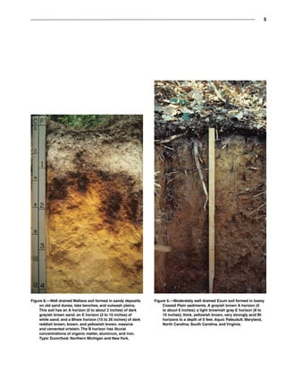 NRSC... from the surface down | PDF