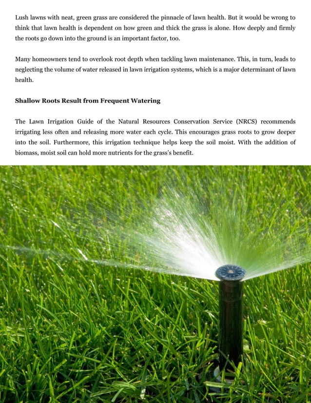 NRCS: Lawn Irrigation Frequency Determines Root Depth | PDF
