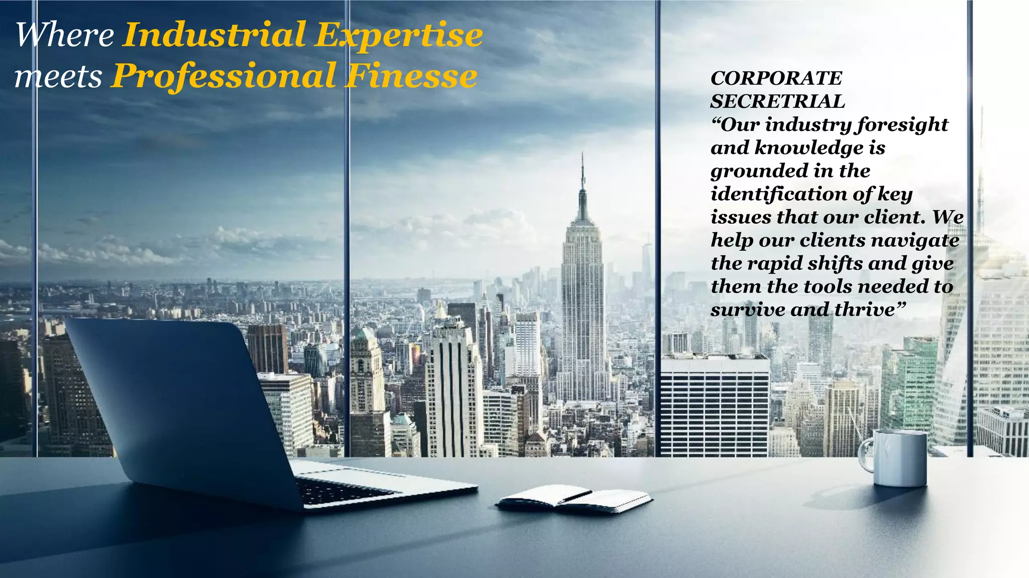 N.R. Doshi & Partners | Your Audit & Tax Partners in UAE | PDF