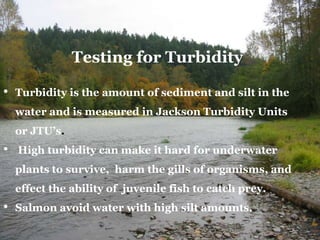Nisqually MIddle School Water Quality Report | PPTX