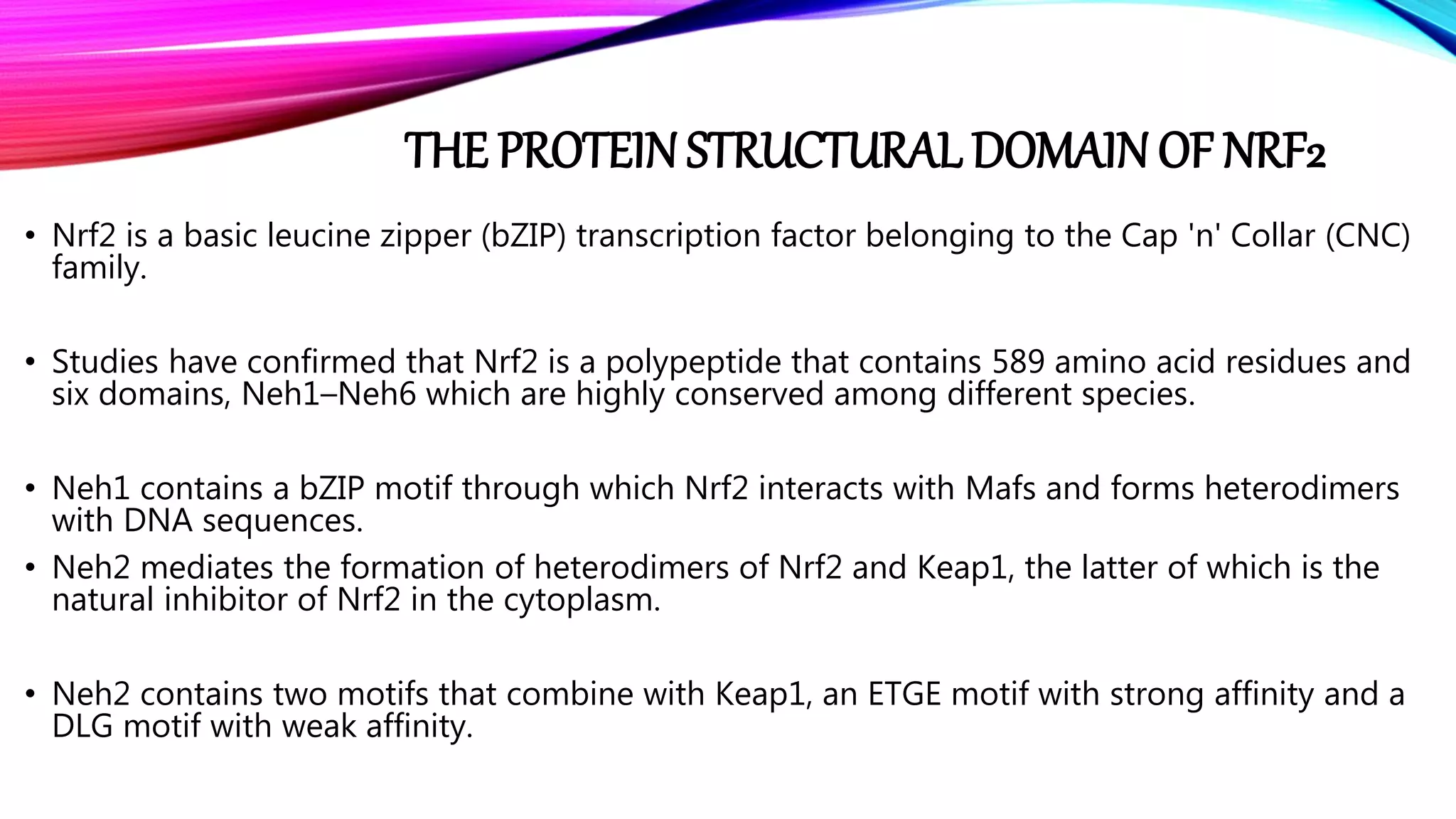 Nrf2 receptor transcription mechanisms | PPTX