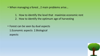 NR forestry.pptx