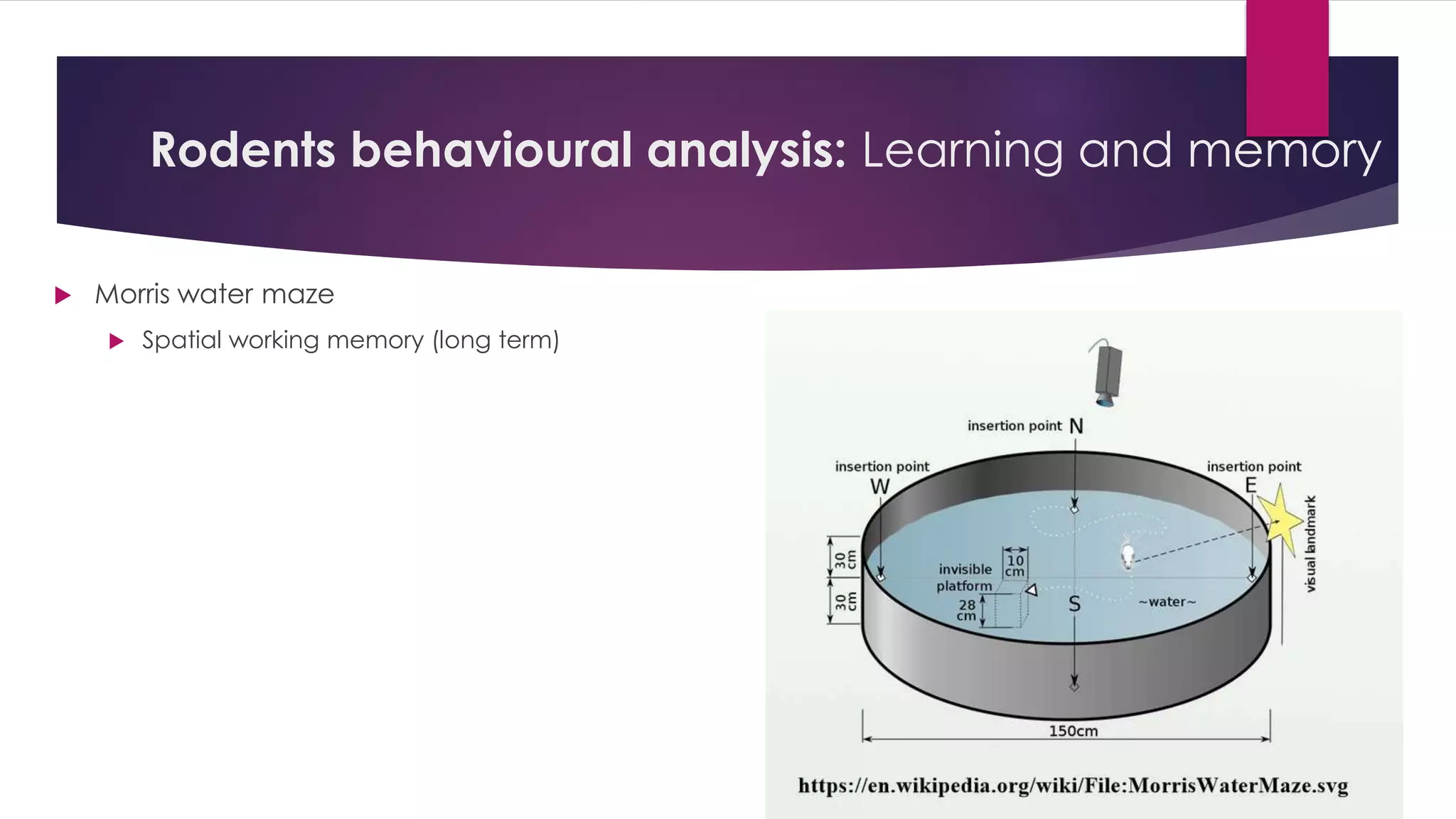 Behavioral Assessment in Rodents:Excellent protocols for neuroscientists with limited resources ...