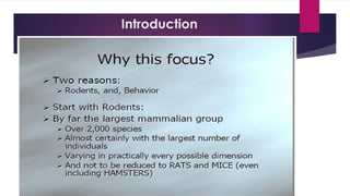 Behavioral Assessment in Rodents:Excellent protocols for ...