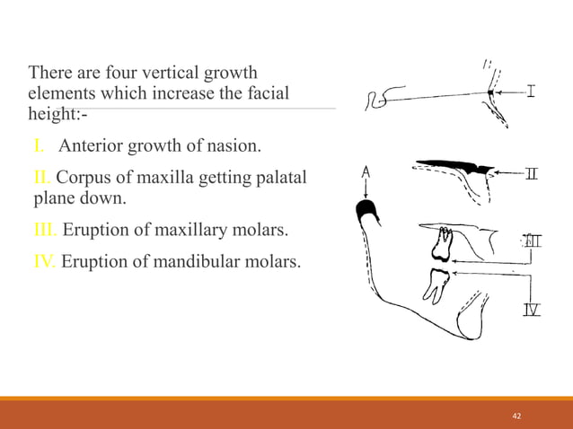 Growth Rotation NR | PPTX