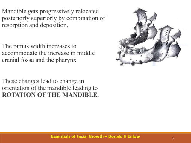Growth Rotation NR | PPTX
