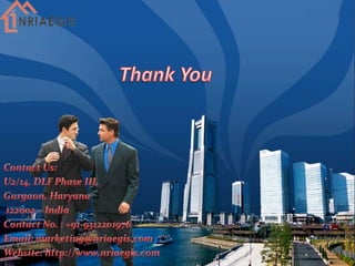 NRI Services | PPTX | Travel