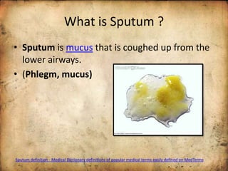 Purulent Sputum
