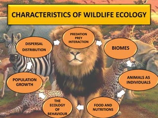 Wildlife ecology and environment | PPT