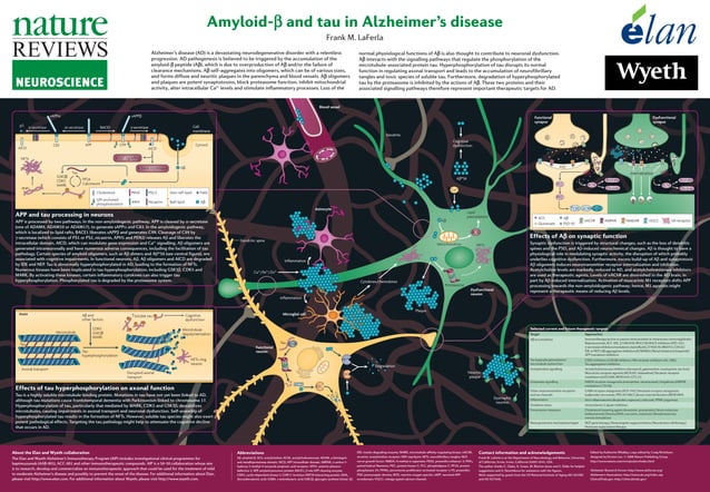 Nrn ad posters- nature | PPT