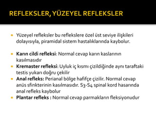 Nörolojik muayene (fazlası için www.tipfakultesi.org ) | PPTX