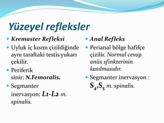 NÖROLOJİK MUAYENE | PPTX