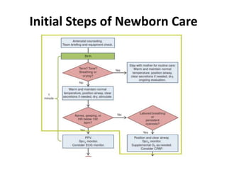 Neonatal Resuscitation Flow Sheet