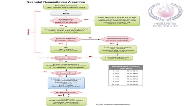 Neonatal resuscitation protocol of pediatric.pptx