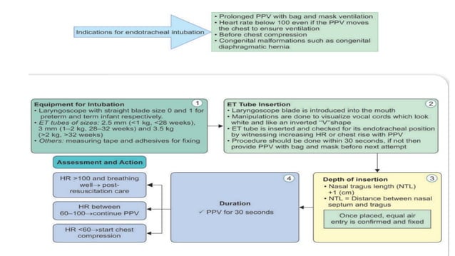 Neonatal resuscitation protocol of pediatric.pptx