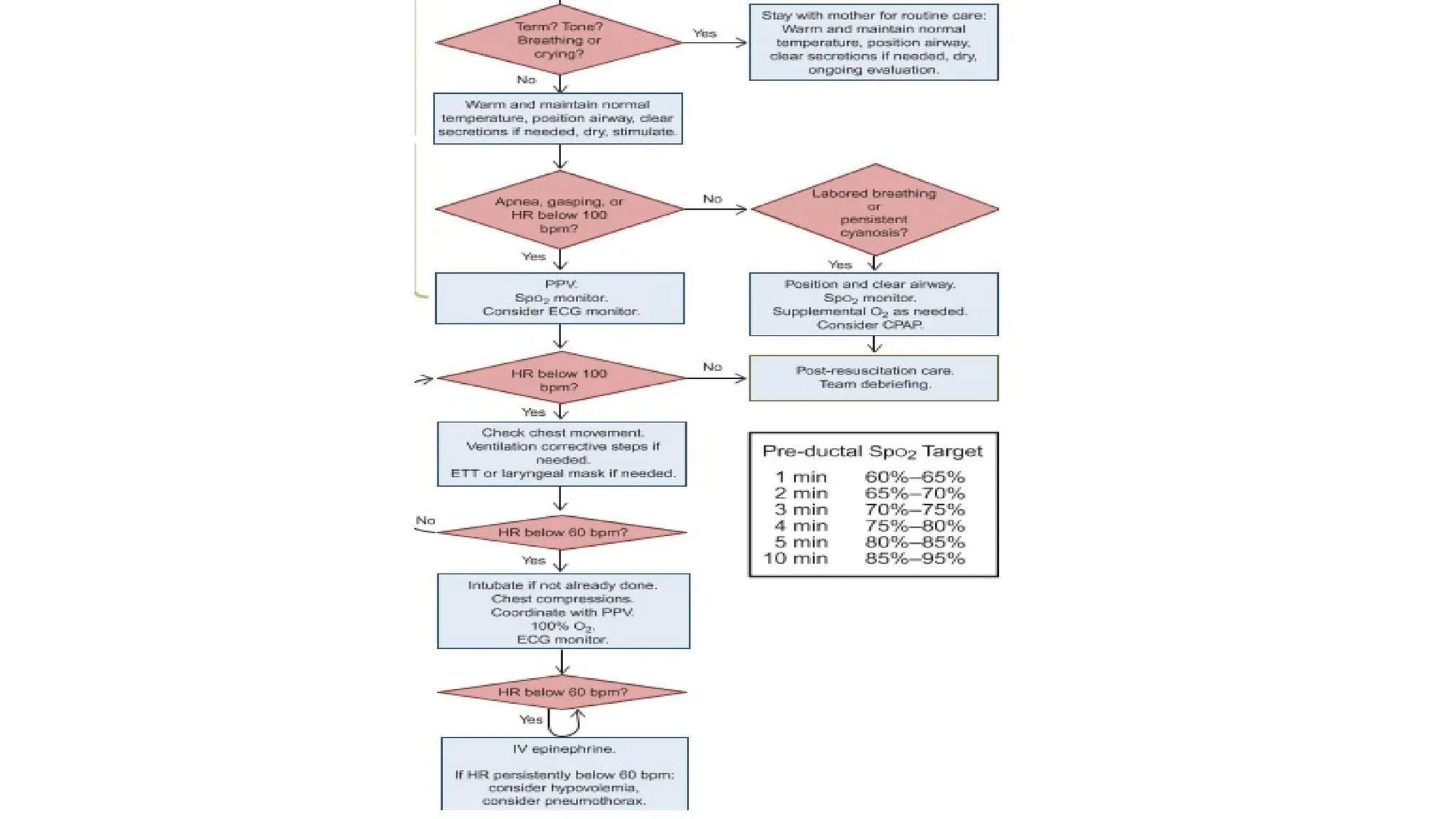 Neonatal resuscitation programme presentation | PPTX