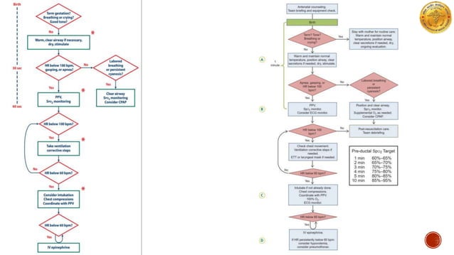 NRP neonatal resuscitation protocol recommendations 2020