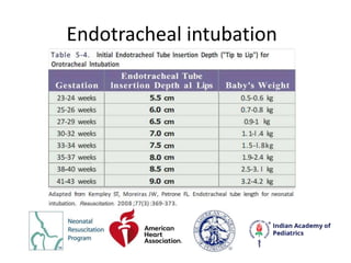 Neonatal Resuscitation Program eighth edition.pptx