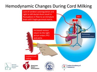 Neonatal Resuscitation Program eighth edition.pptx