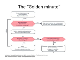 Neonatal Resuscitation Program eighth edition.pptx