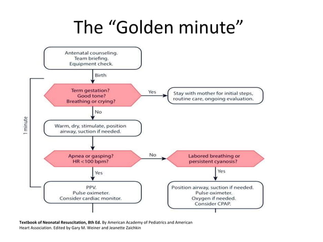 Neonatal Resuscitation Program eighth edition.pptx | Lung and ...