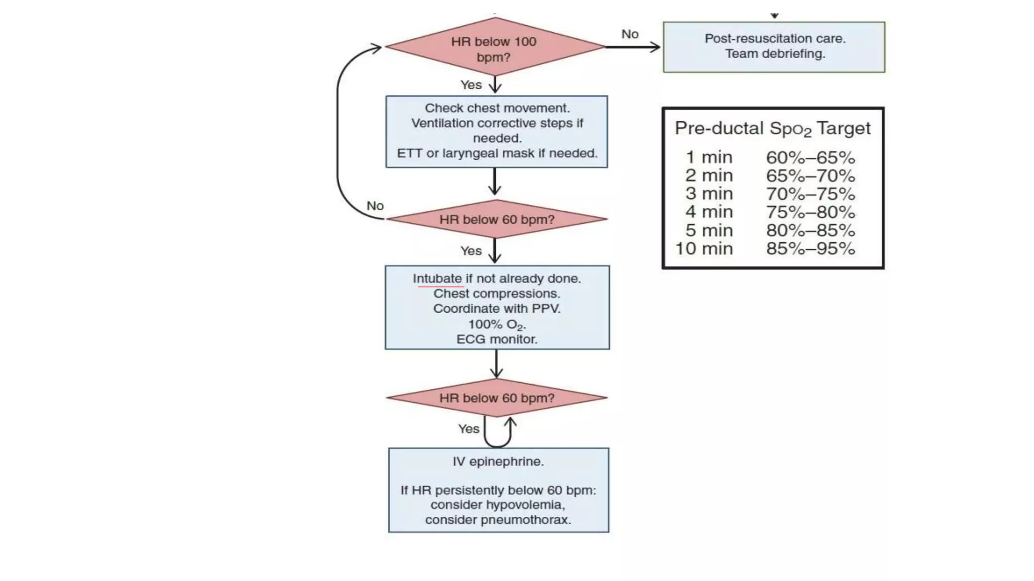 NEONATAL RESUSCITATION PROGRAM/NALS - LATEST GUIDELINES 7TH EDITION ...