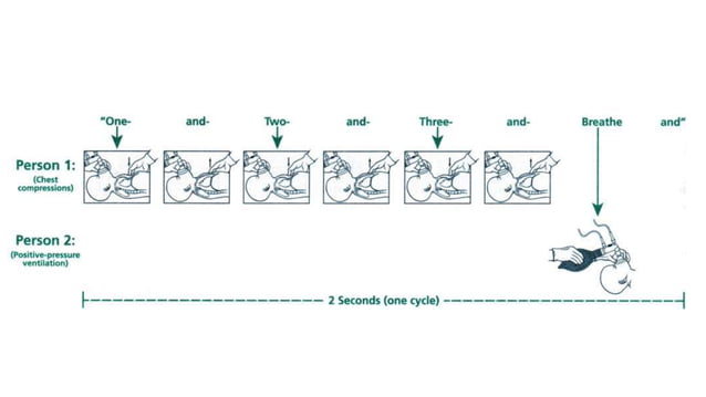 NEONATAL RESUSCITATION PROGRAM/NALS - LATEST GUIDELINES 7TH EDITION ...