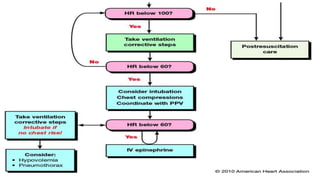 NEONATAL RESUSCITATION PROGRAM/NALS - LATEST GUIDELINES 7TH EDITION | PPTX