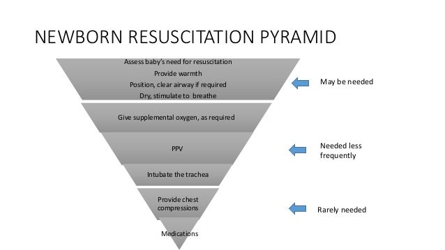 NEONATAL RESUSCITATION PROGRAM/NALS - LATEST GUIDELINES 7TH EDITION