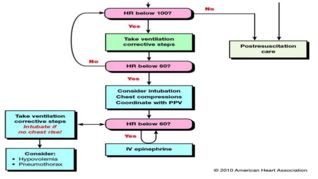NEONATAL RESUSCITATION PROGRAM/NALS - LATEST GUIDELINES 7TH EDITION