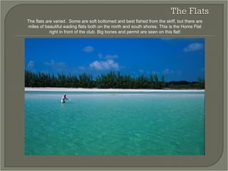 North Riding Point Club Presentation | PPT