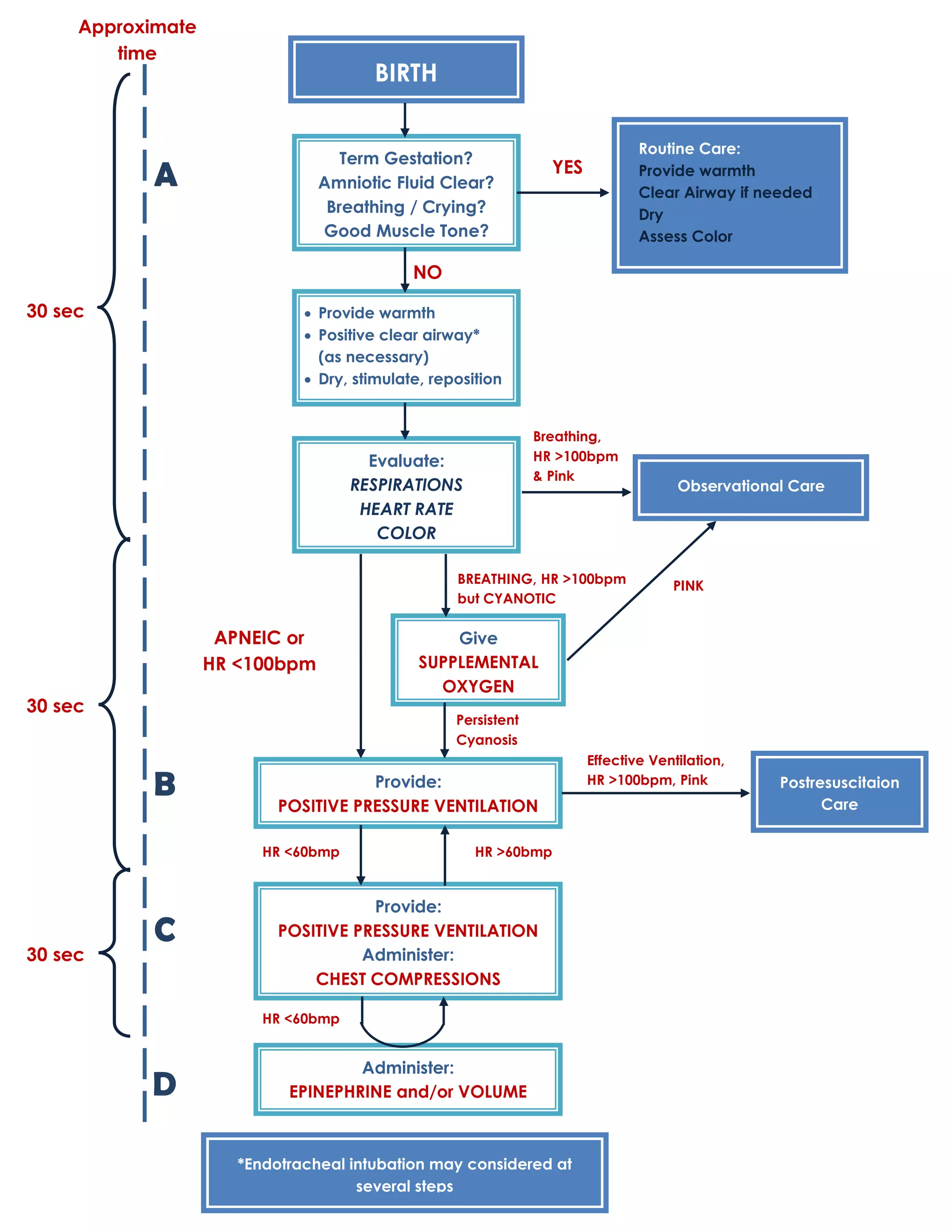 NEONATAL RESUSCITATION PROGRAM Diagram | PDF
