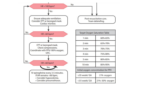 NRP pediatriccs neonates resuscitation gaurav.pptx