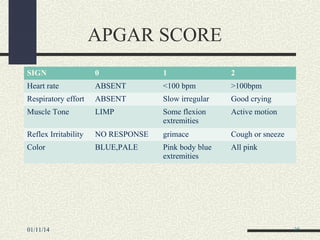Neonatal Resuscitation (NR),(Kurdistan) | PPT