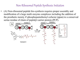non ribosomal peptide synthesis (molecular biology) | PPTX