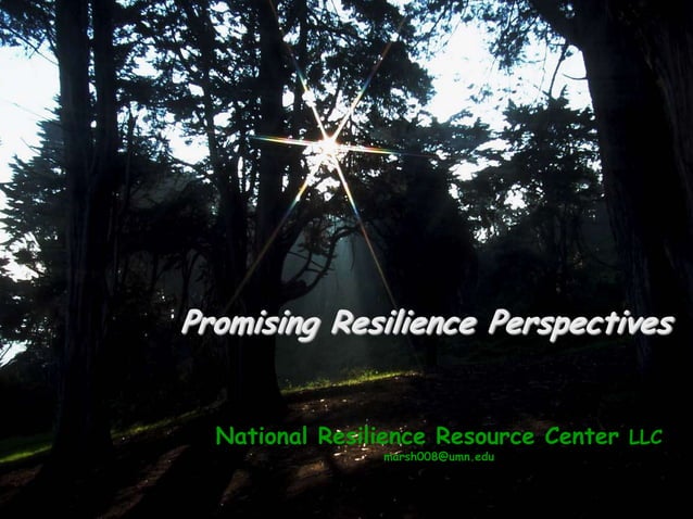 Nrrc promising resilience perspectives 7 2013 f | PPTX