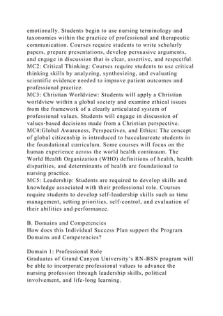 NRS-493 Individual Success PlanREQUIRED PRACTICE HOURS 100 Direct.docx