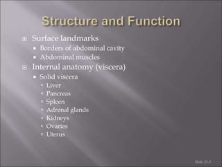 NRS102AssessmentoftheAbdomen.ppt