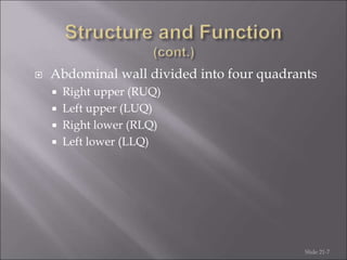 01. ASSESSMENT OF THE ABDOMEN NRS 102. PPT | PPT