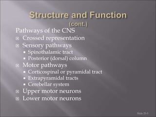 NeurologicAssessment.ppt