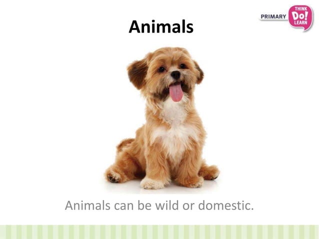 Unit 4 Living things | PPT