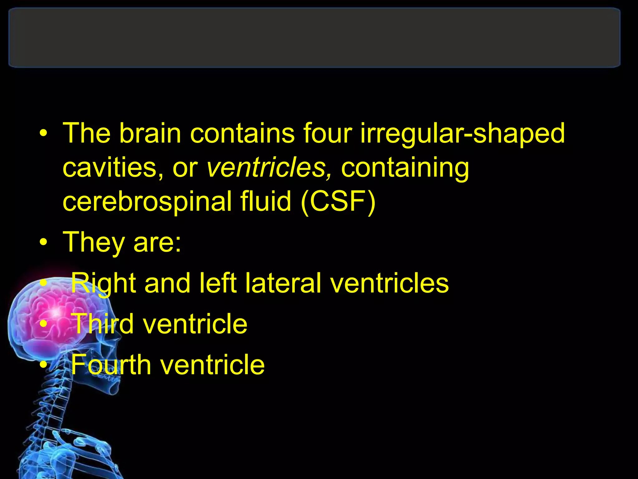 Meninges, ventricles and cerebro spinal fluid | PPTX