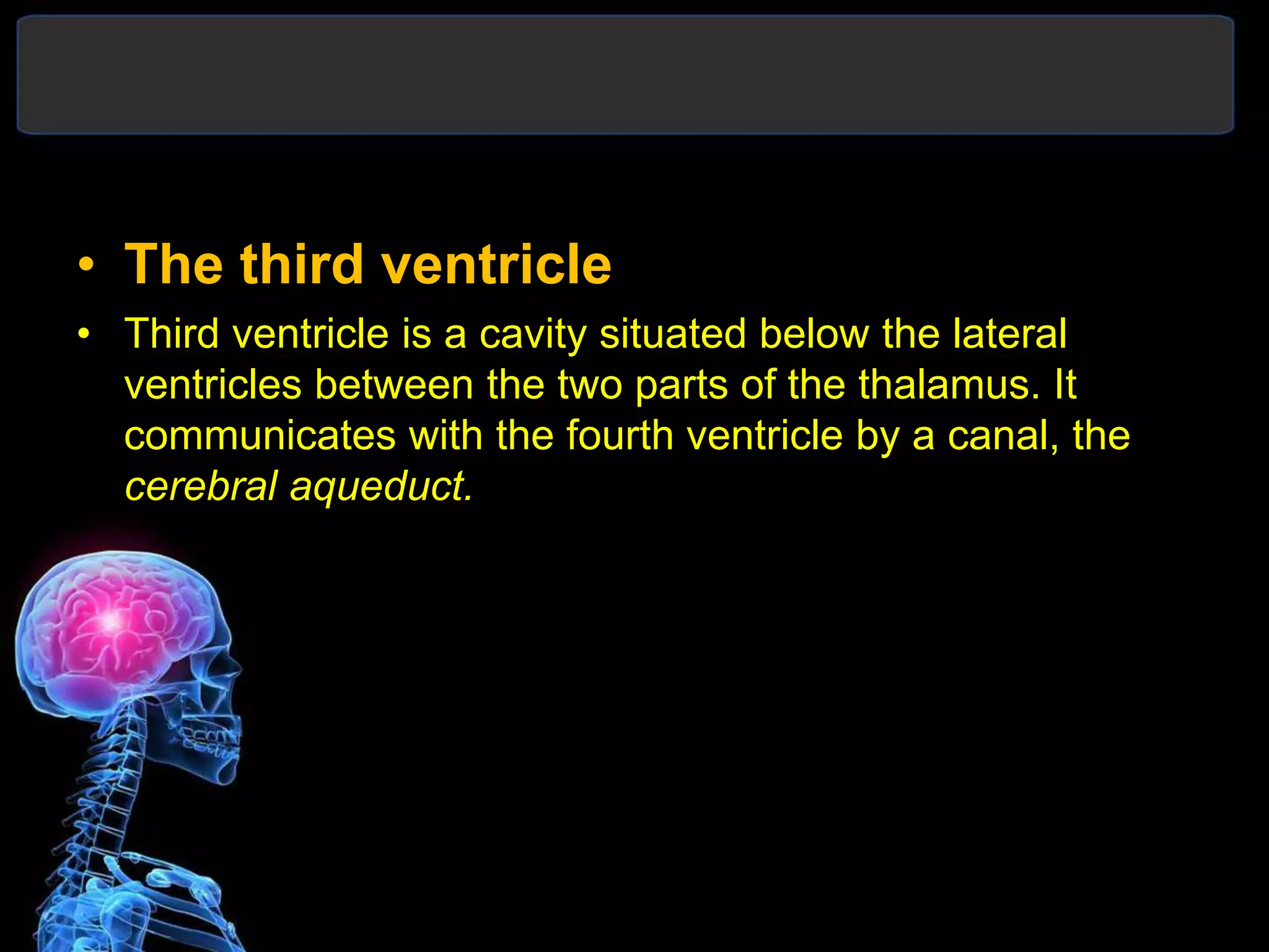 Meninges, ventricles and cerebro spinal fluid | PPTX